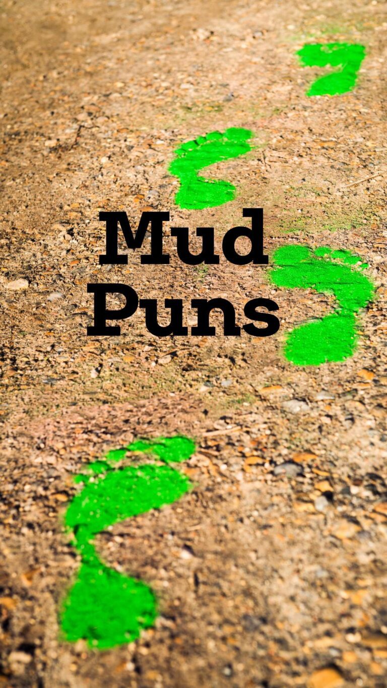 Playing Dirty: 70 Mud Puns to Make a Splash of Laughter - Best Jokes ...