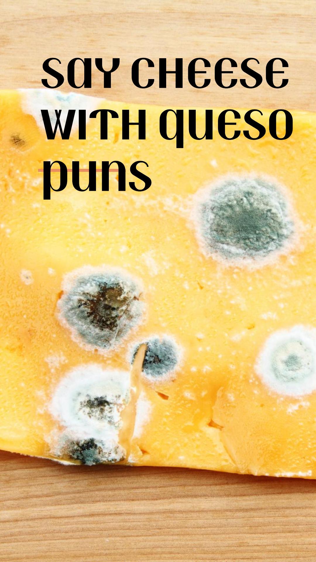 Cheesy Goodness: A Feast of Queso Puns - Best Jokes, Puns & Humor for ... Cheesy Goodness: A Feast of Queso Puns - Best Jokes, Puns & Humor for ...