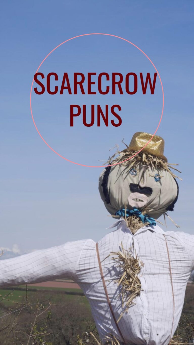 150 Scarecrow Puns to Leave You Cackling in the Cornfields - Best Jokes ...