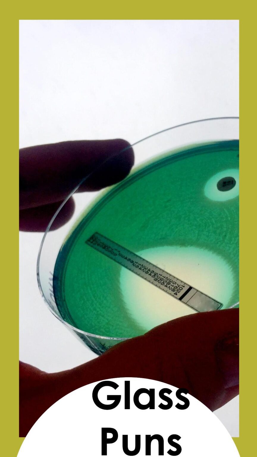 The Ultimate Collection of 110 Glass Puns - Best Jokes, Puns & Humor ...