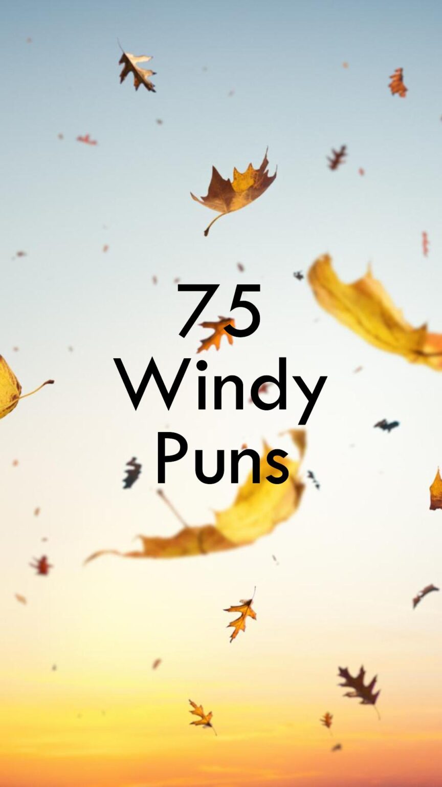 Whirling Wonders: 75 Windy Puns to Blow You Away - Best Jokes, Puns ...